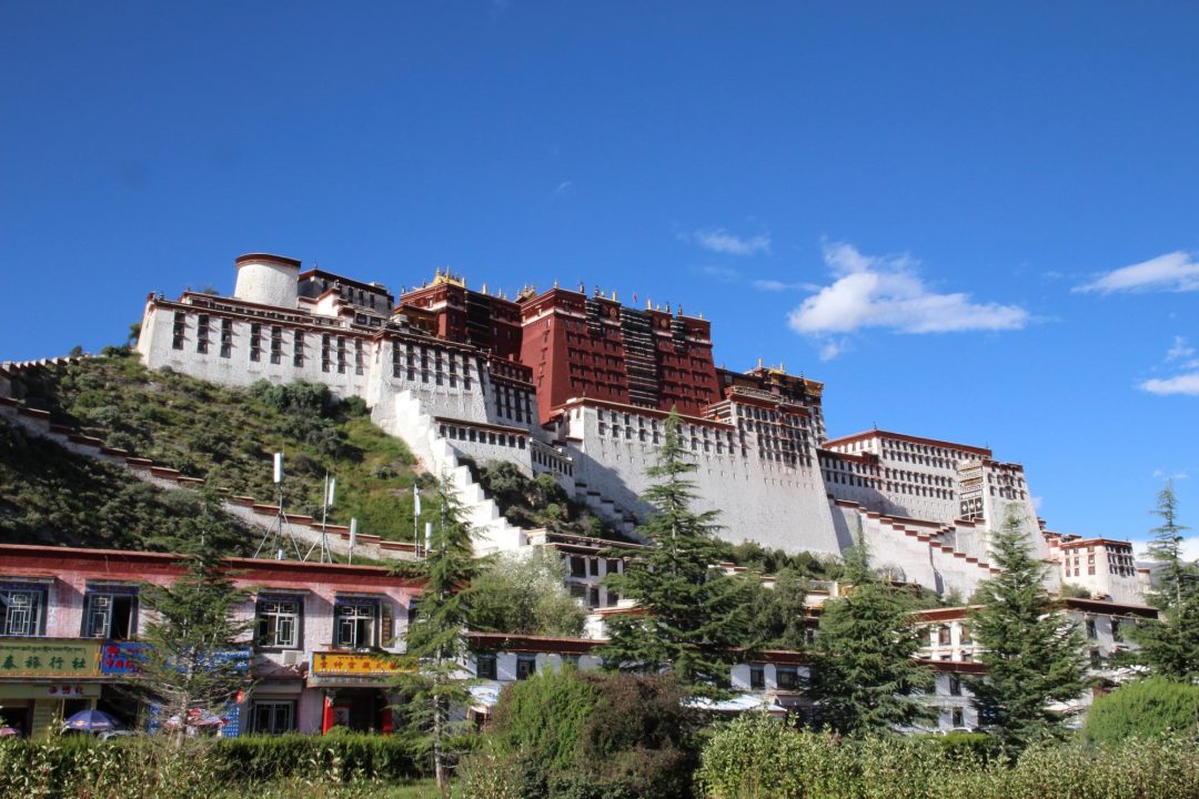 Conception et Accompagnement Culturel - The Secret Ingredient